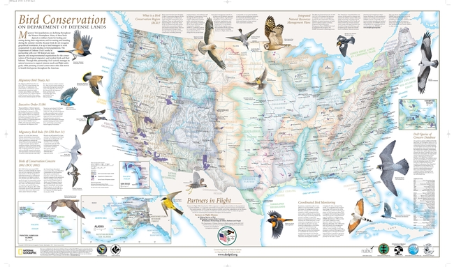Bird Conservation Map - DENIX